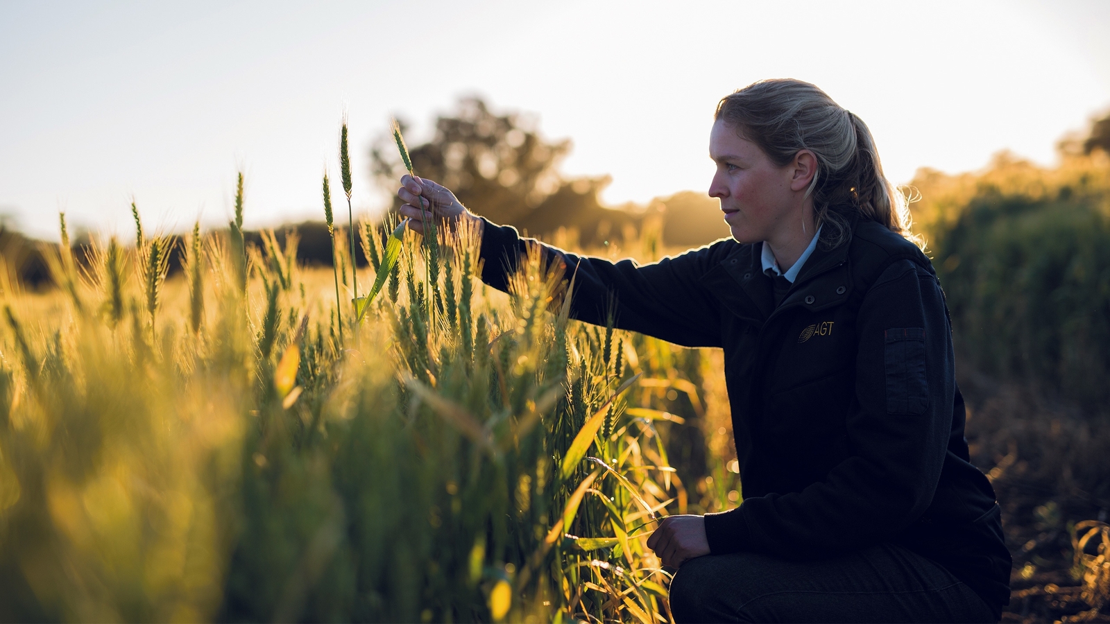 Simple • Australian Grain Technologies