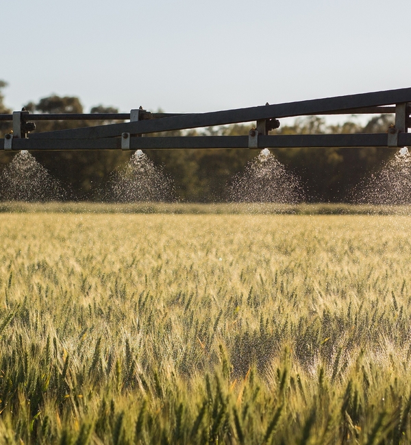 Simple • Australian Grain Technologies