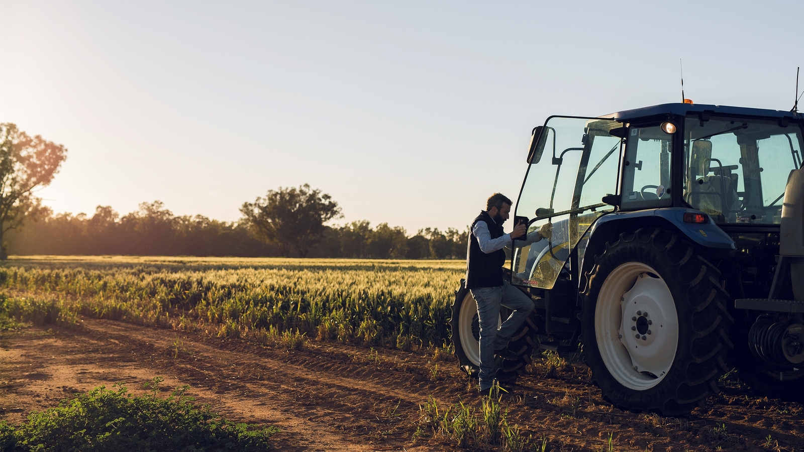 Simple • Australian Grain Technologies