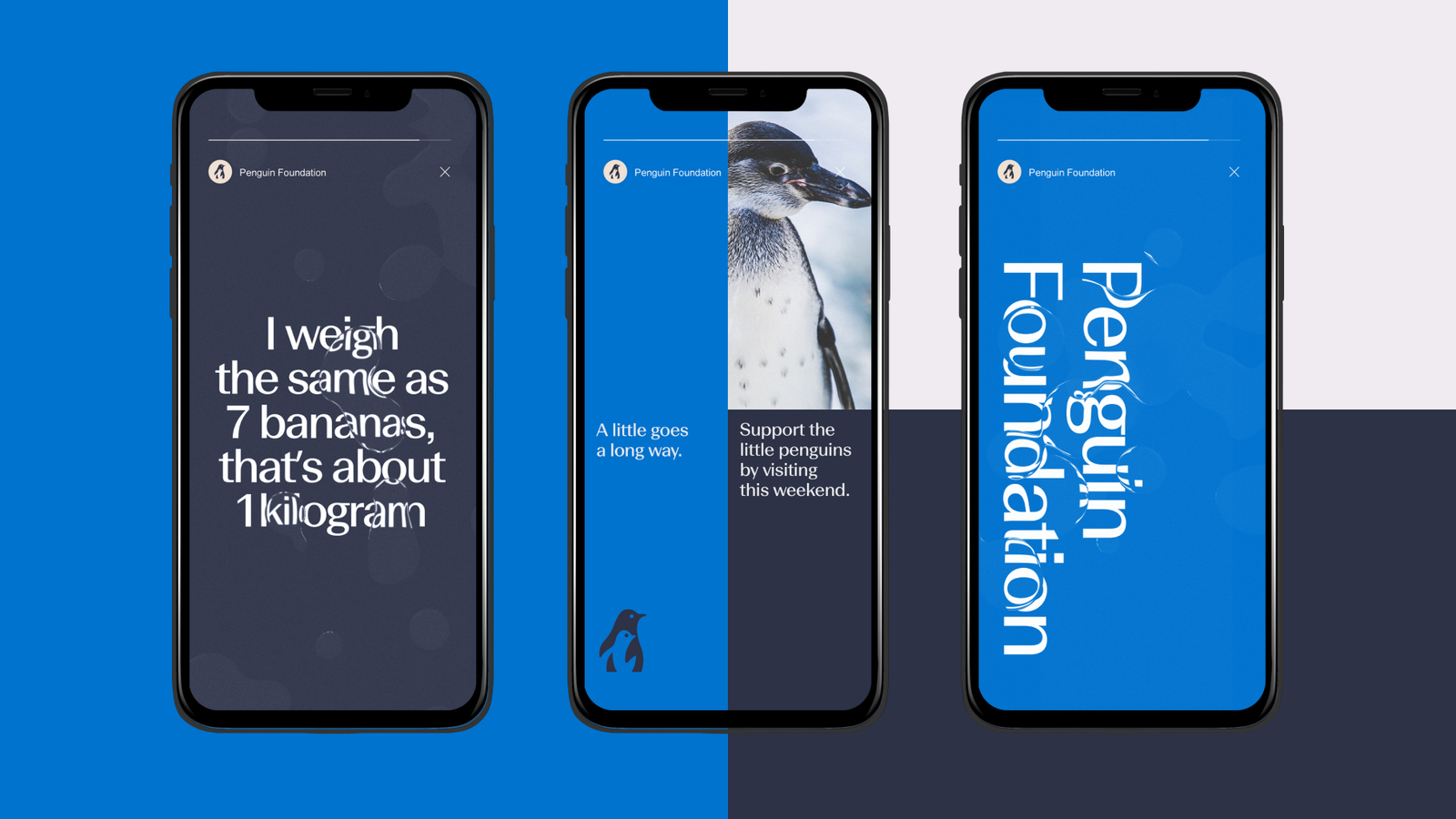 Simple • Penguin Foundation